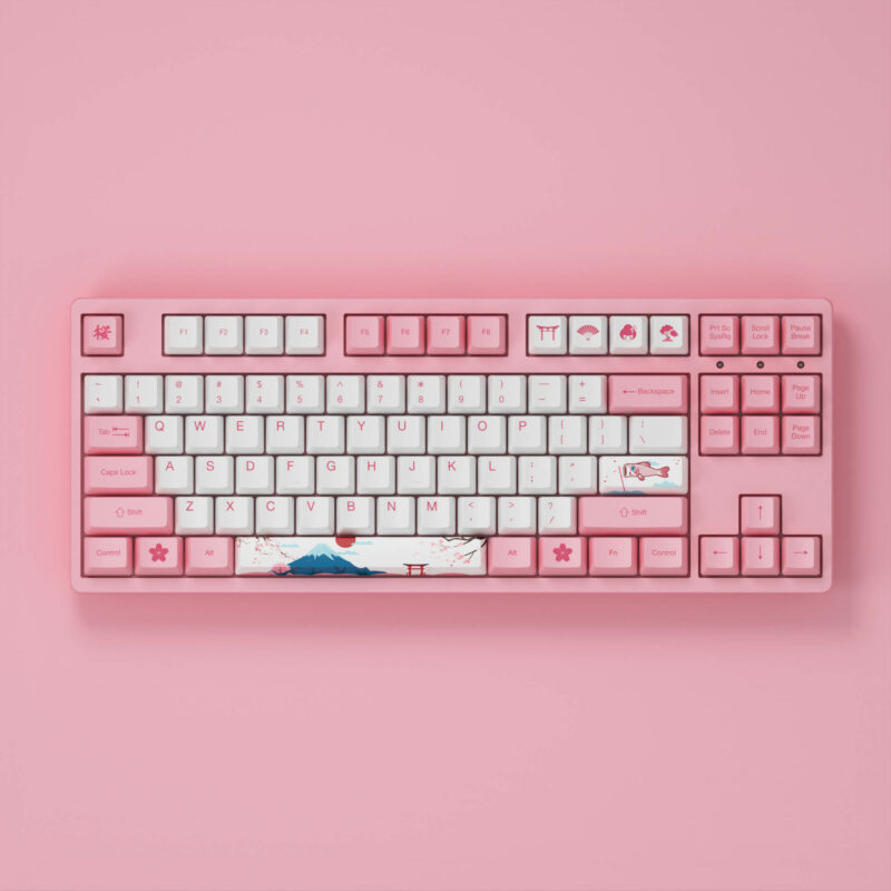 World Tour Tokyo - AKKO Gear