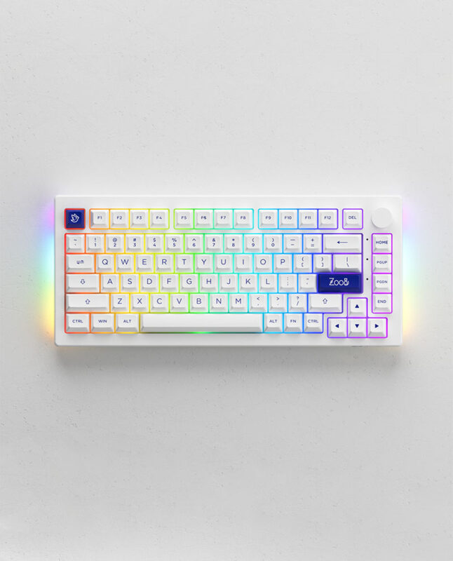 Bàn phím cơ không dây AKKO 5075B Plus Blue on White (Multi-modes / RGB ...