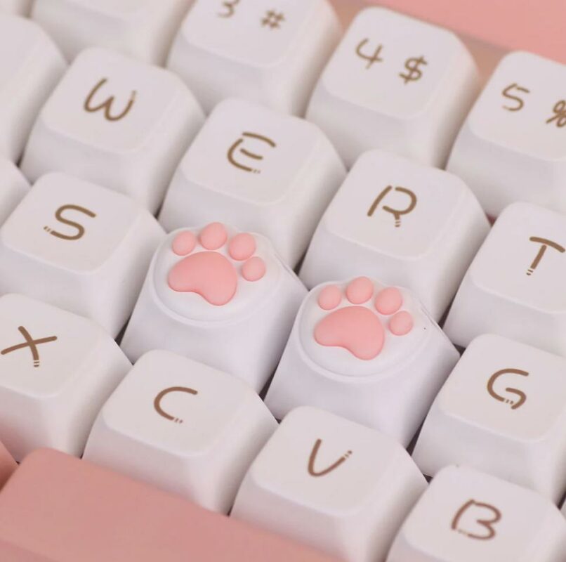 Bộ keycap AKKO - Cat Paws Artisan (Chất liệu PC / hộp 4 nút) - AKKO ...
