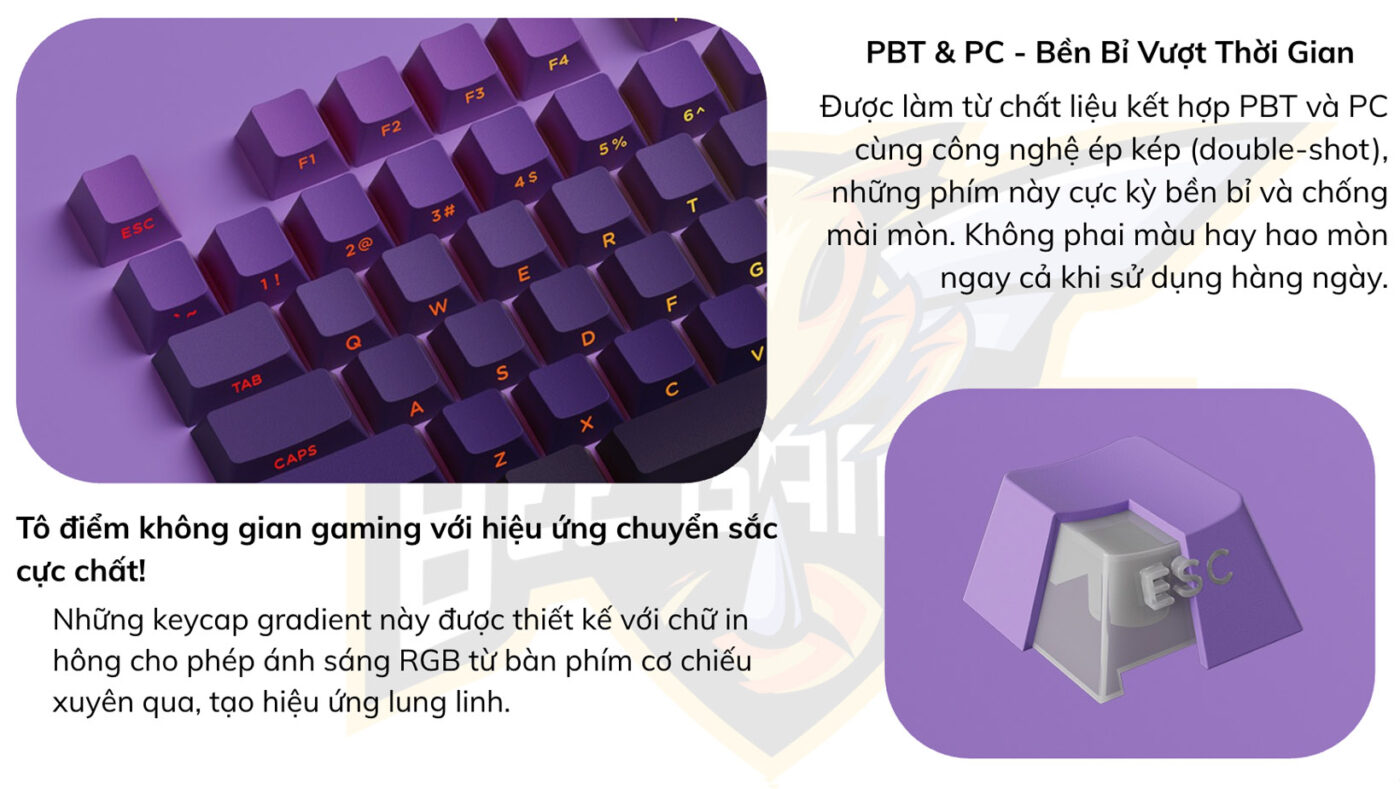 Bộ Keycap VEEKOS - Purple Gradient (135 nút / Cherry Profile / Side ...