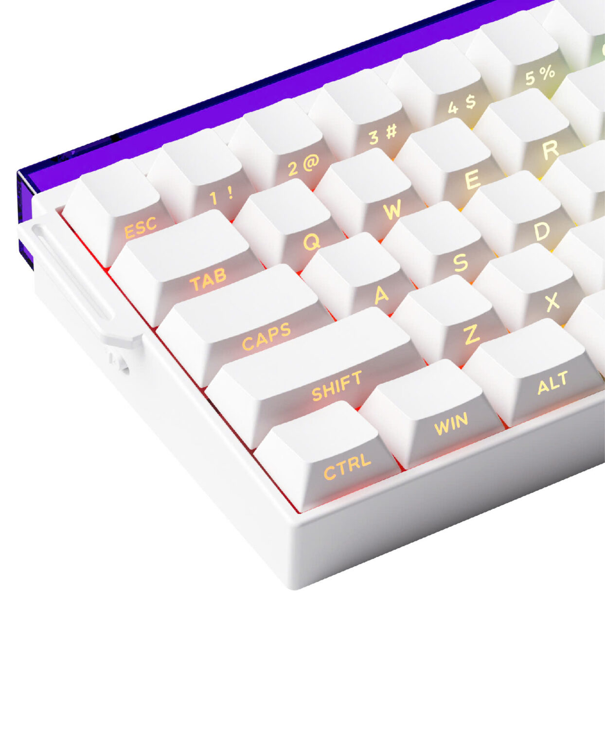 Bàn phím cơ AKKO x Veekos - Shine60 HE SP ( Led RGB / Rapid Trigger ...